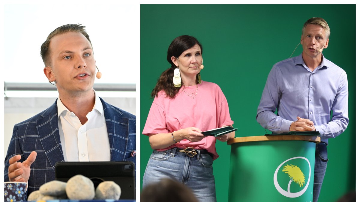 SD-toppen om Miljöpartiet: "Kraftigt försämrat Sverige"